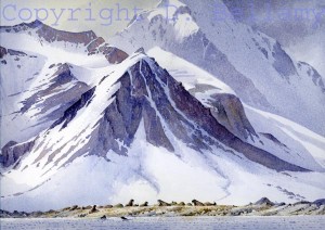 David’s Arctic Watercolours | Bellamy's Bivouac