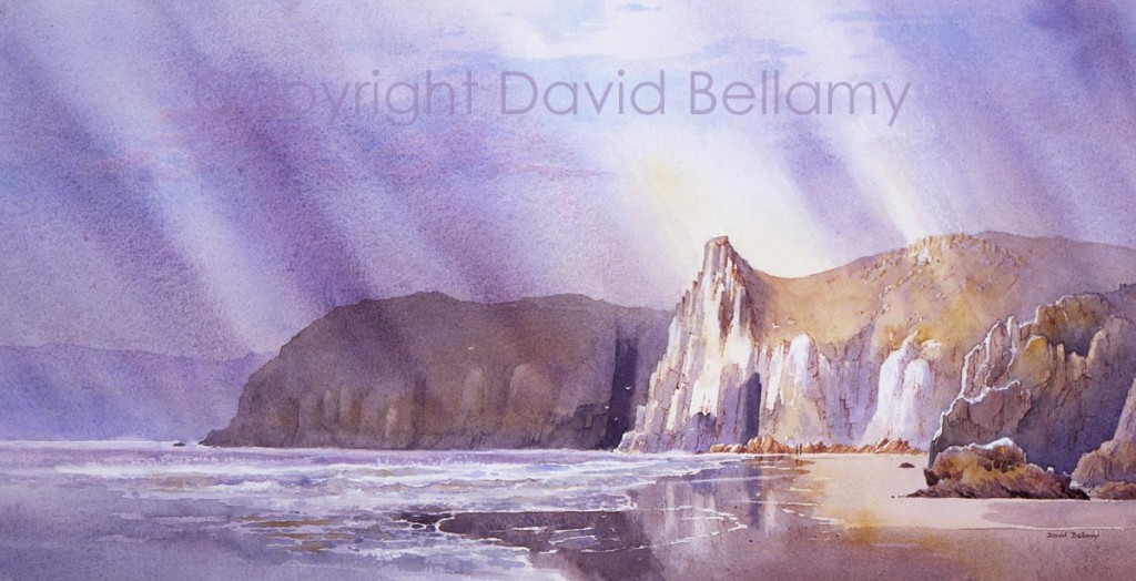 David’s Marine Watercolours | Bellamy's Bivouac