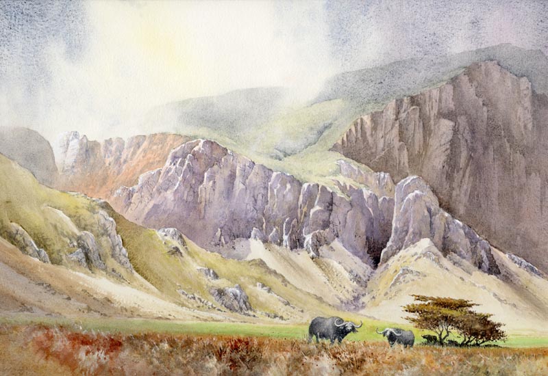 David Bellamy – Taking a painting break | Bellamy's Bivouac