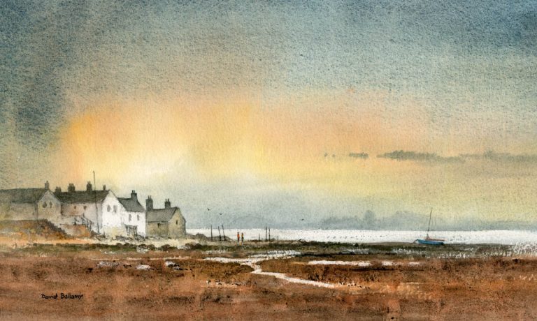 David Bellamy | Bellamy's Bivouac