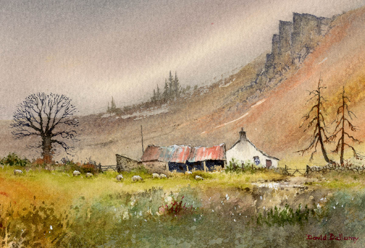 DAVID BELLAMY: ADDING VARIETY INTO A LANDSCAPE | Bellamy's Bivouac