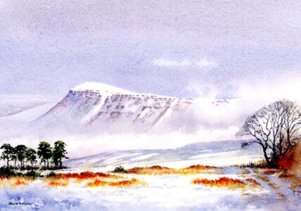 DAVID BELLAMY: HAPPY CHRISTMAS | Bellamy's Bivouac